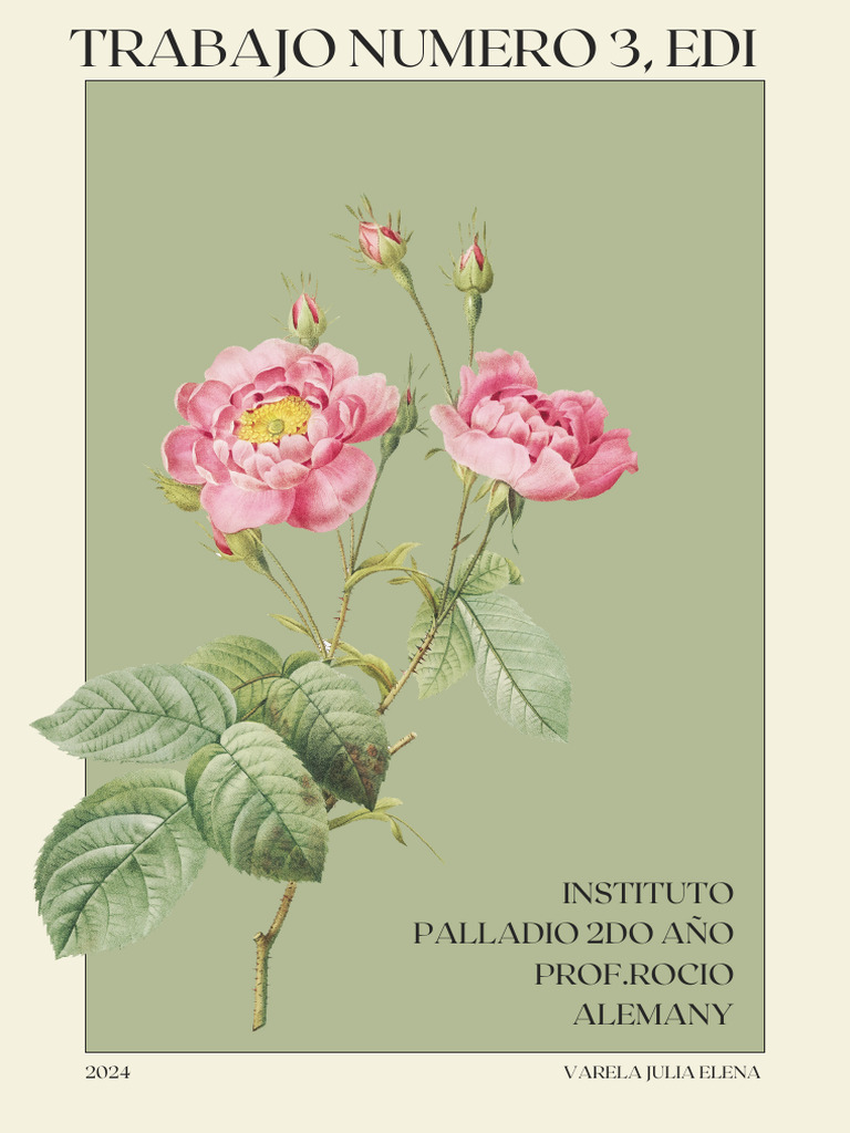 Varela Edi Tp3 | PDF