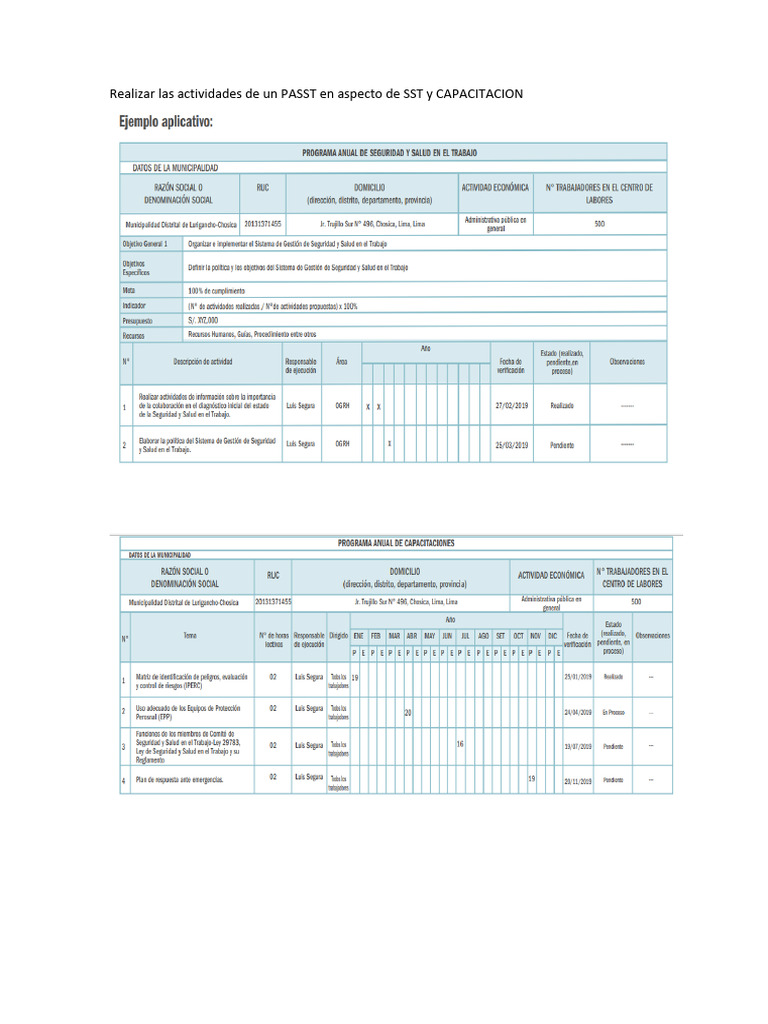 Realizar Las Actividades de Un PASST en Aspecto de SST y CAPACITACION | PDF