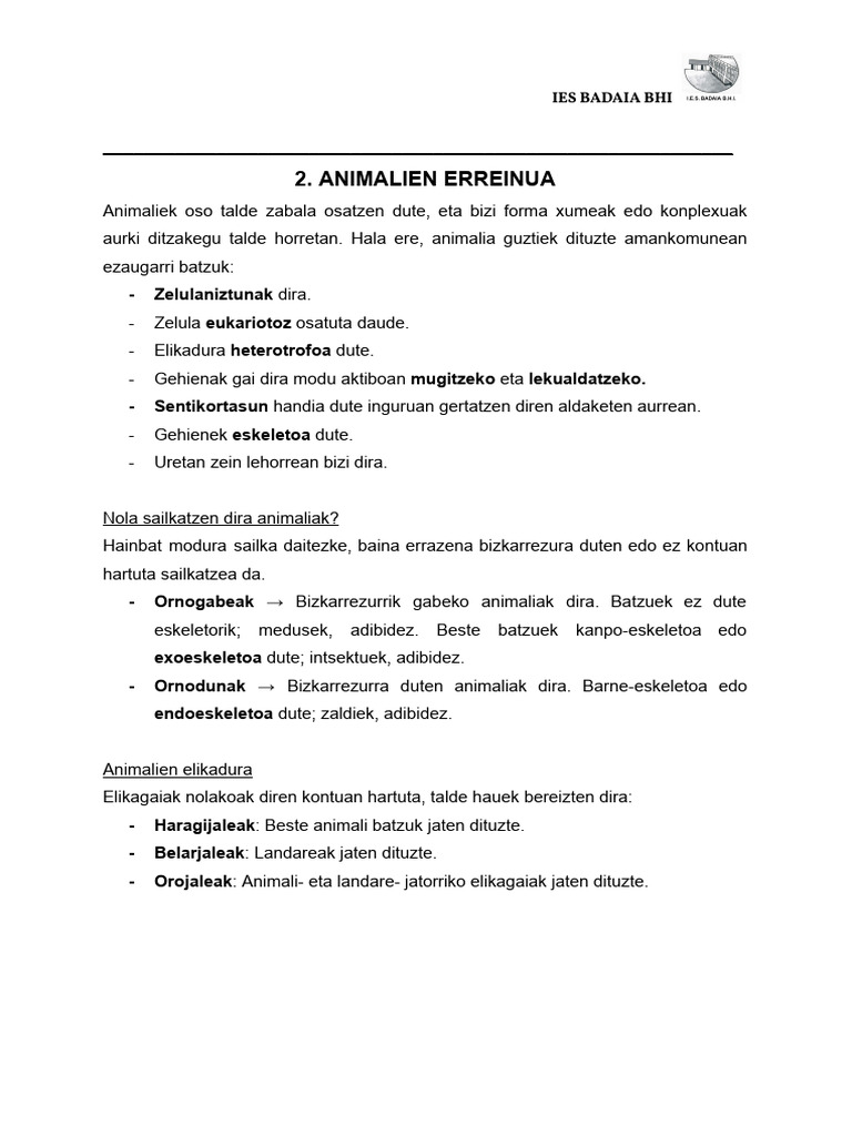 Animalia Erreinua | PDF