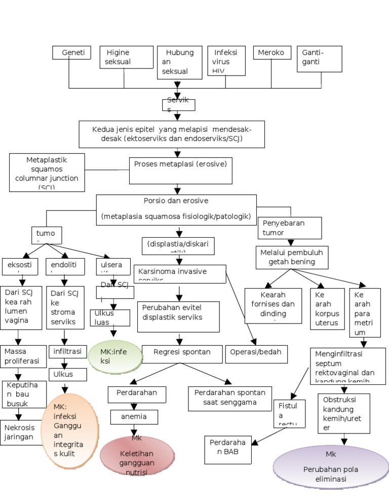Patoflow CA Cerviks | PDF