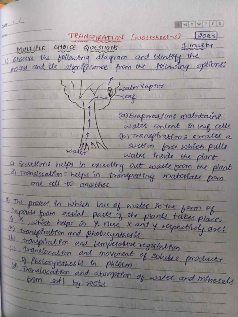 Life Processes - Transpiration Worksheet -3 | PDF