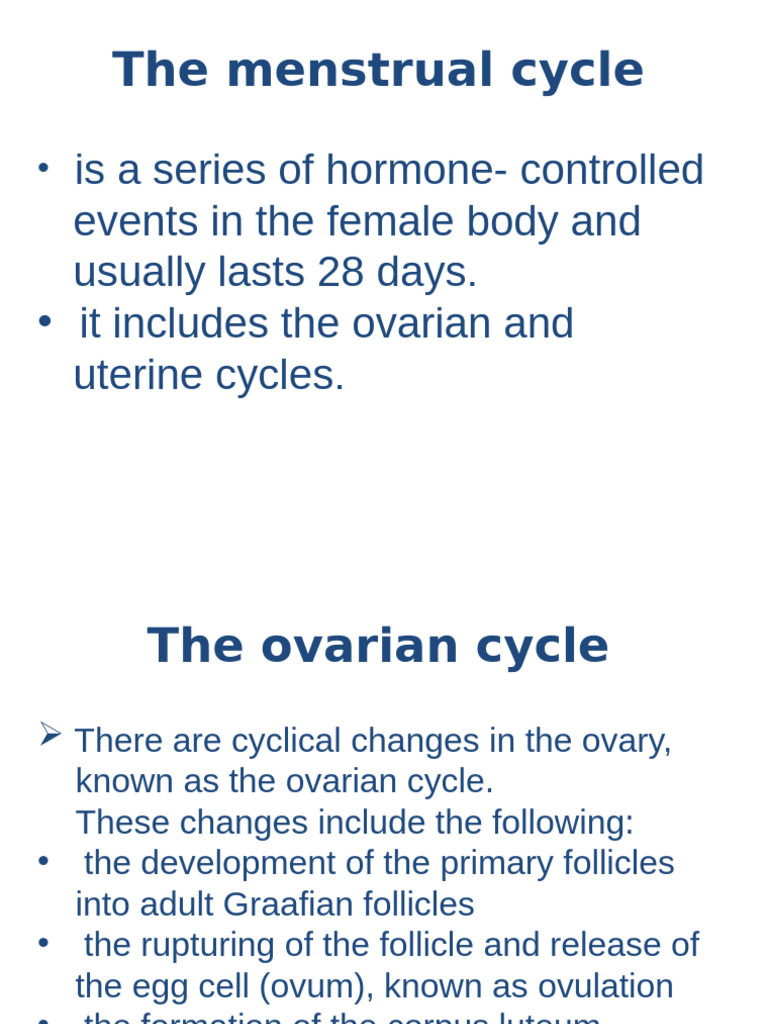 3. Menstrual Cycle (1) | PDF