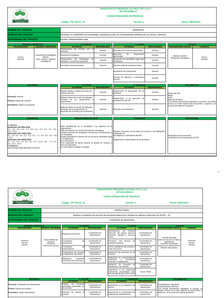 TPF-GE-DI - 16 Caracterización de Proceso | PDF | Auditoría | Presupuesto