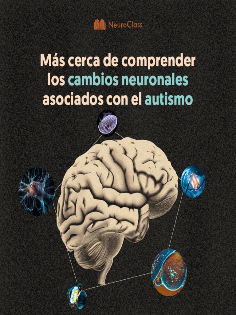 Cambios Neuronales | PDF