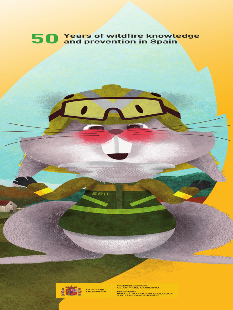 Humans Cause | PDF | Wildfire | Fires