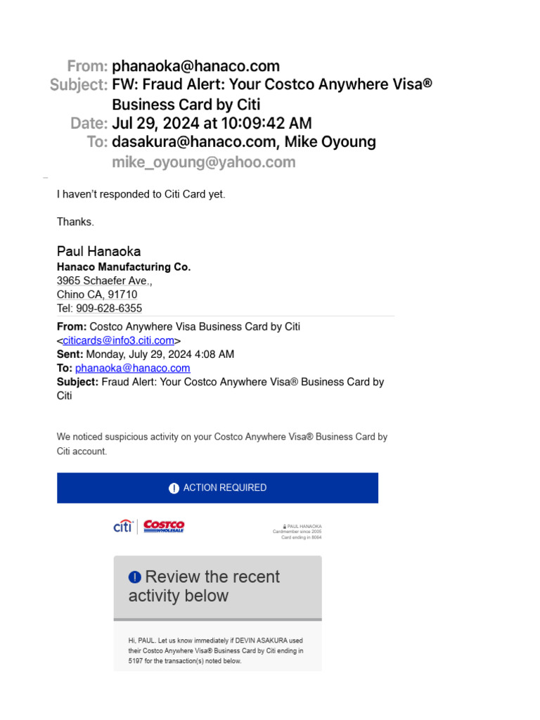 FW Fraud Alert Your Costco Anywhere Visa® Business Card by Citi | PDF ...