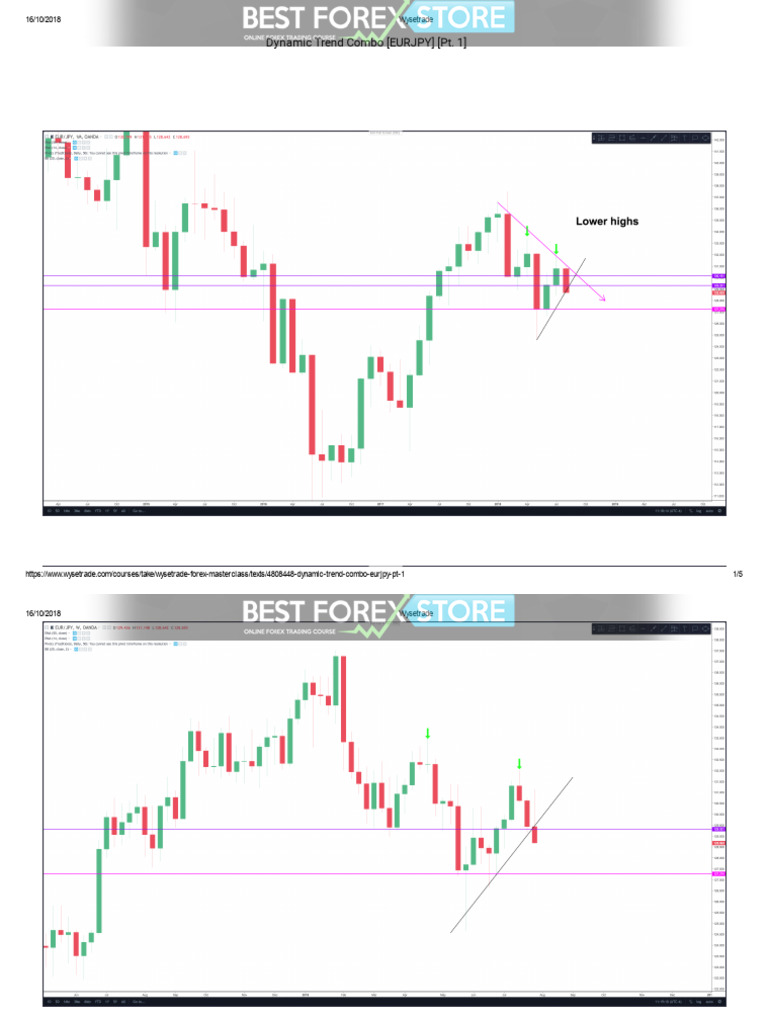 Dynamic Trend Combo for EURJPY Pt. 1 | PDF