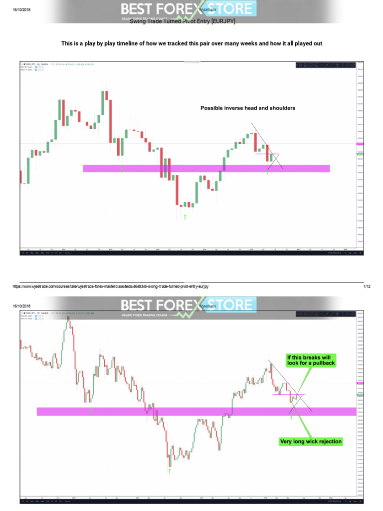Swing Trade Turned Pivot Entry (EURJPY) | PDF