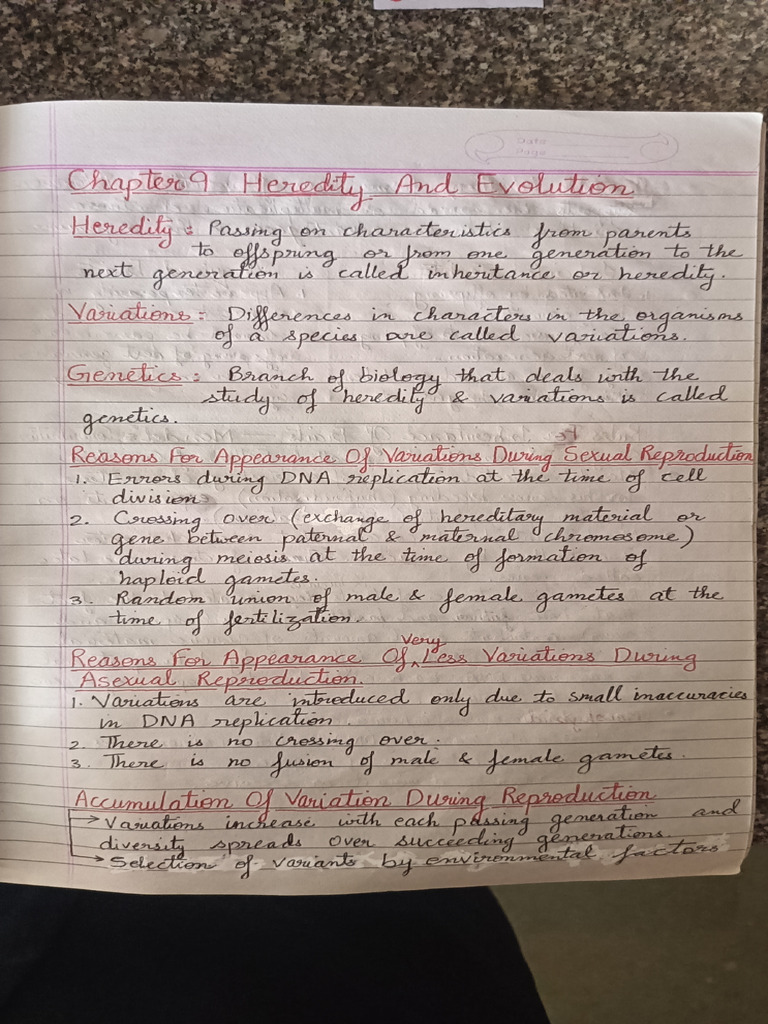 Heredity Notes | PDF