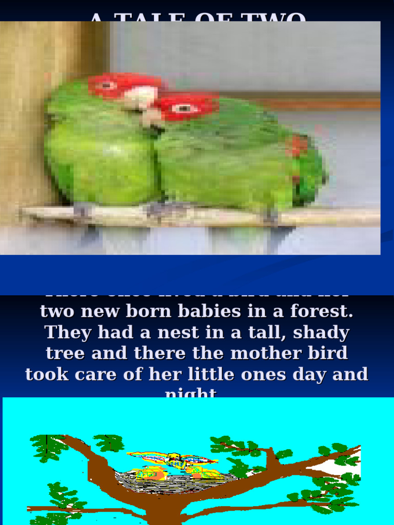 Chapter 1 A Tale of Two Birds | PDF