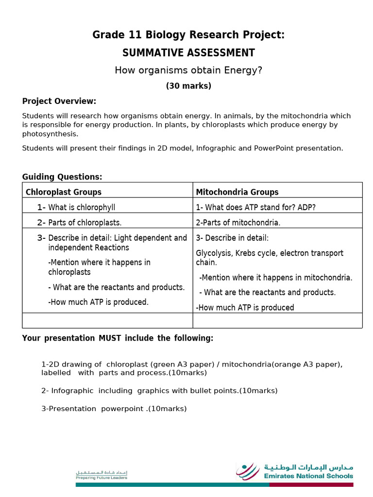Gr. 11 Bio Summative Research Respiration Photosynthesis. | PDF