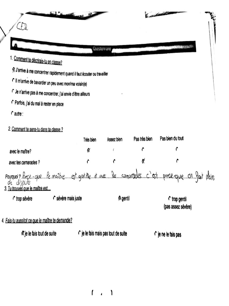 questionnaire classe 3 copie | PDF