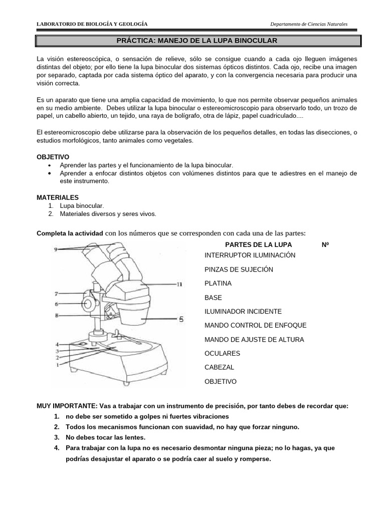 Manejo de Lupa Binocular en Biología | PDF | Óptica | Ojo