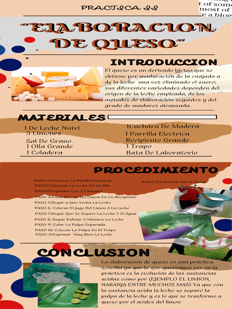 Practica Ii, de La Elaboracion Del Queso - 20241013 - 234317 - 0000 | PDF