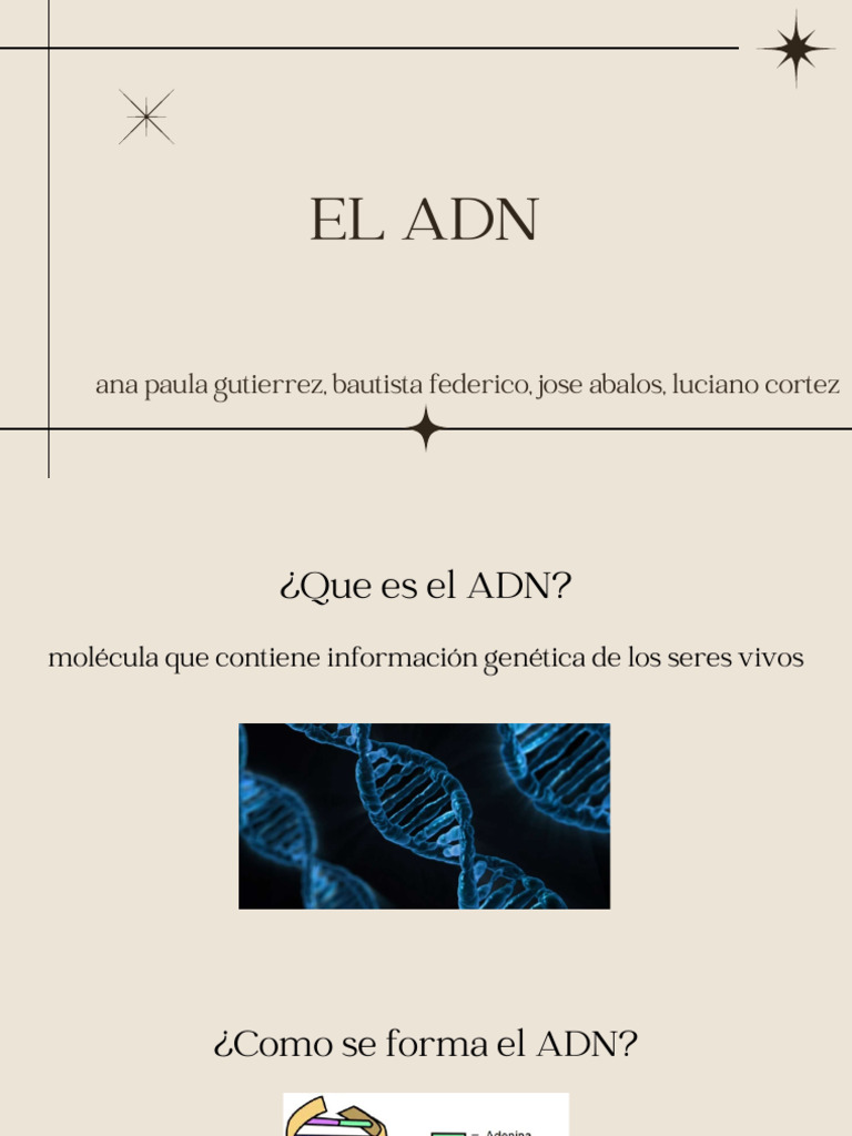 El Adn PDF | PDF