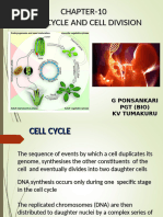 Mnemonics For Cycle Cell and Division | PDF