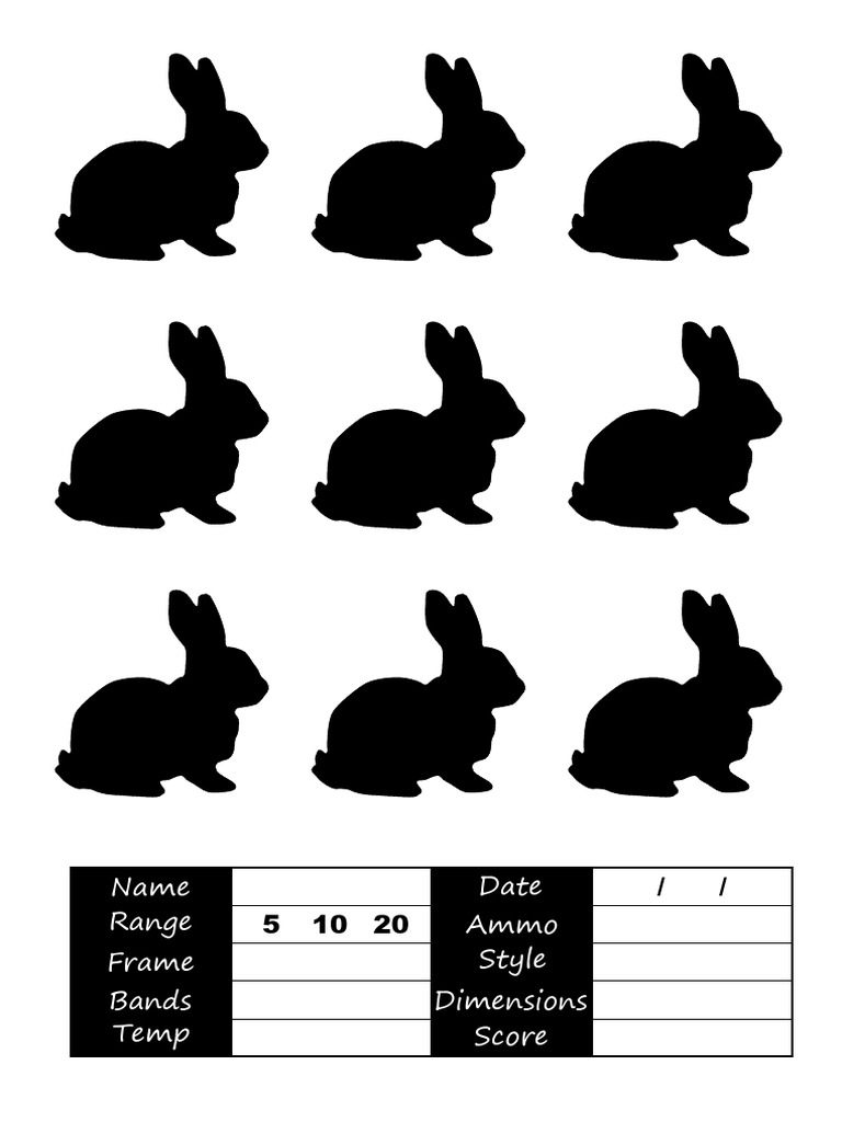 Rabbit Target | PDF