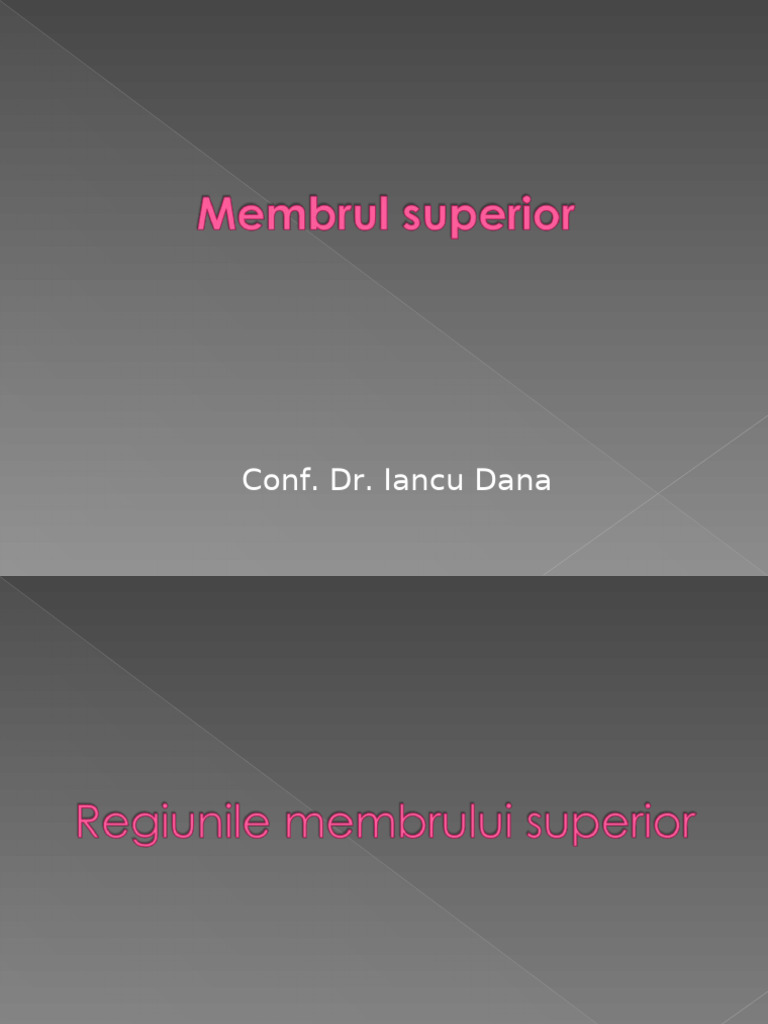 Membrul Superior | PDF