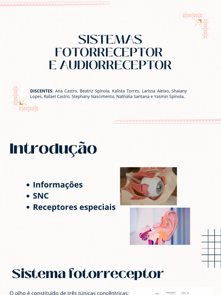 Sistemas Fotorreceptor e Audiorreceptor | PDF | Orelha | Olho humano