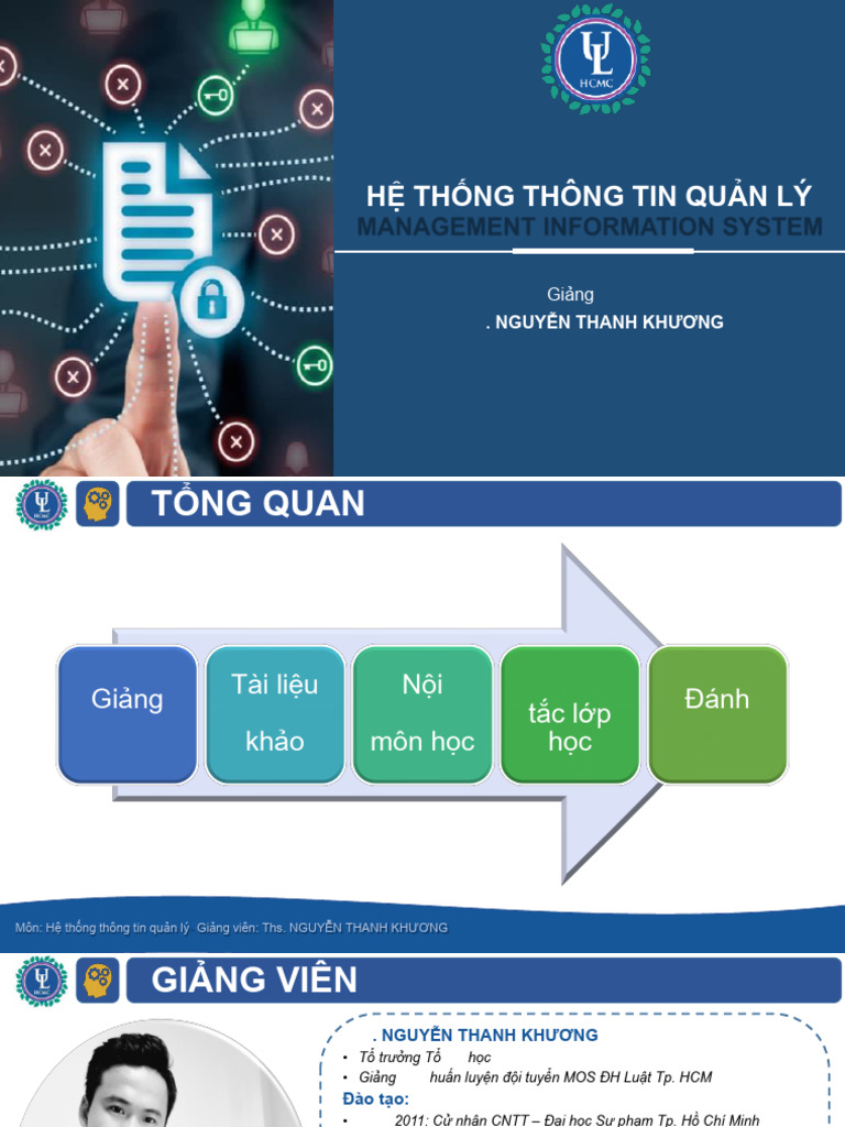 MIS Lesson Full | PDF