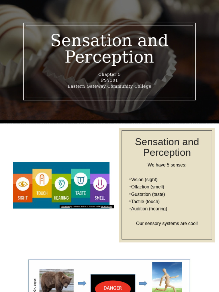 Chapter 5 Power Point Lecture - PSY101 - Sensation and Perception | PDF | Senses | Perception