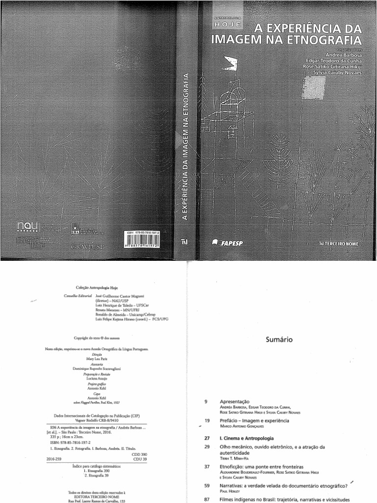 A Experiência Da Imagem - Apresentação e Prefácio | PDF