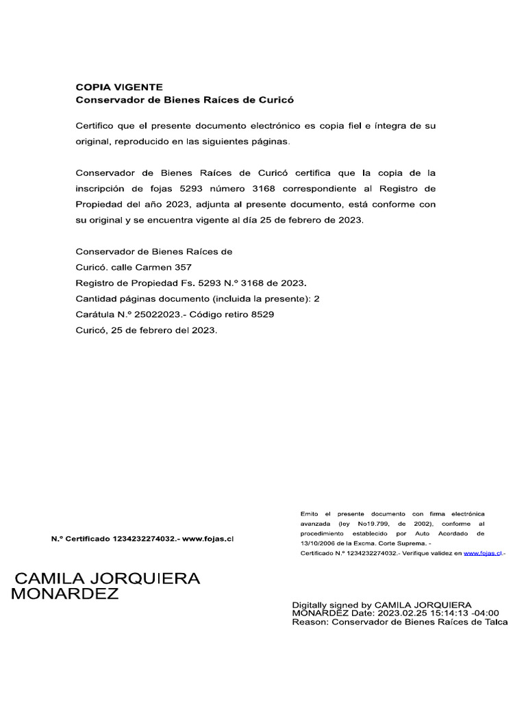 Dominio Vigente | PDF
