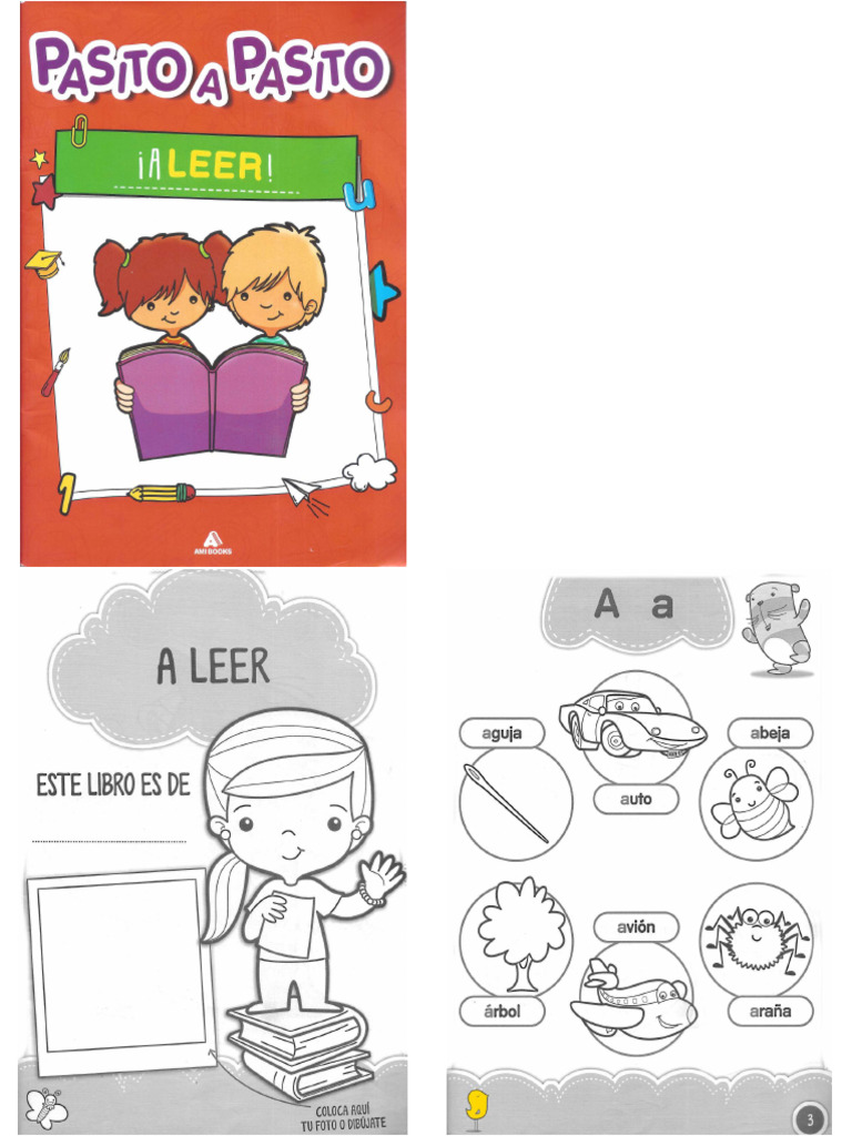 Leer Pasito A Pasito | PDF