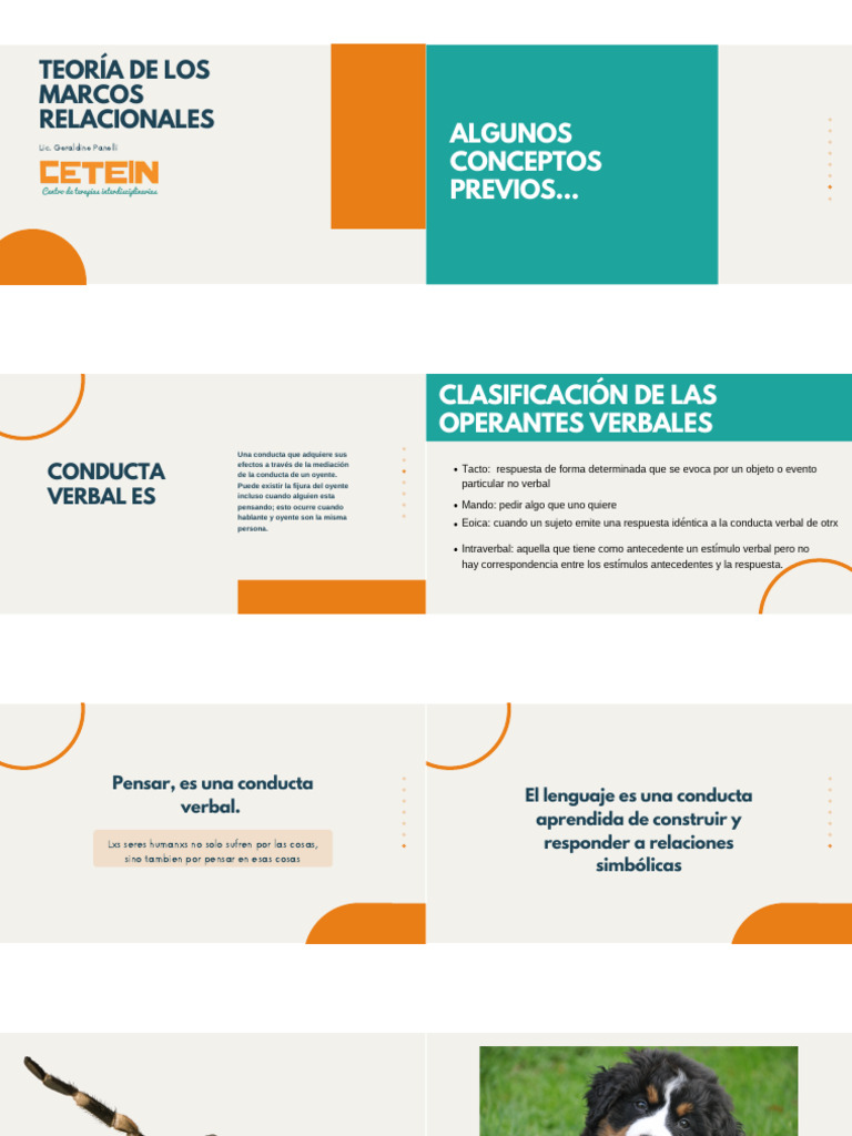 Teoría de Los Marcos Relacionales | PDF | Conceptos psicologicos | Cognición