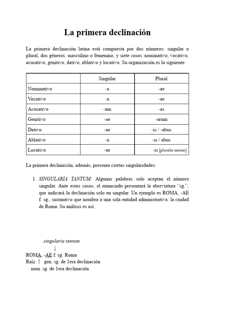 La Primera Declinación | PDF | Relaciones sintácticas | Morfología ...