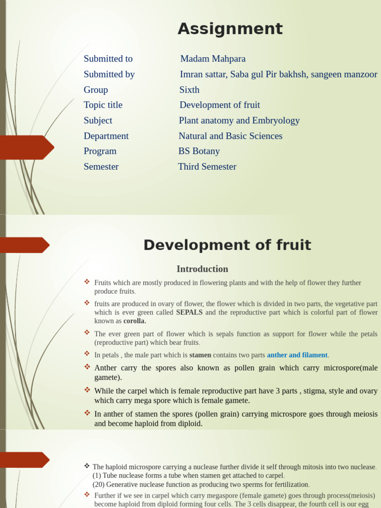Assignment | PDF | Fruit | Flowers
