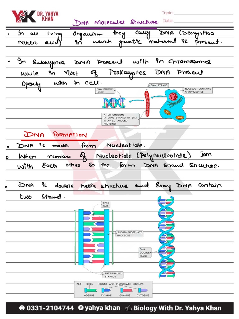 DNA Moleculer Structure and Inheritance | PDF
