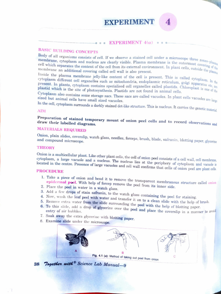 Science Lab Mannual 5a, 5b, 4a, 4b | PDF | Tissue (Biology) | Muscle
