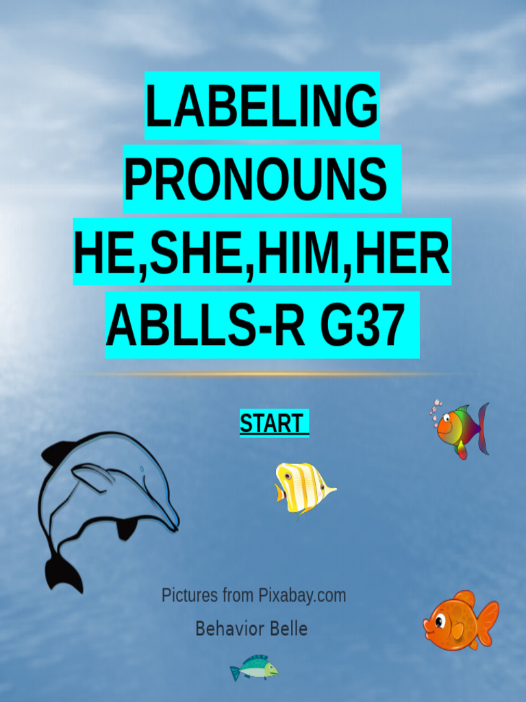 Labeling Pronouns He, She, Him, Her Ablls-R G37: Start | PDF ...
