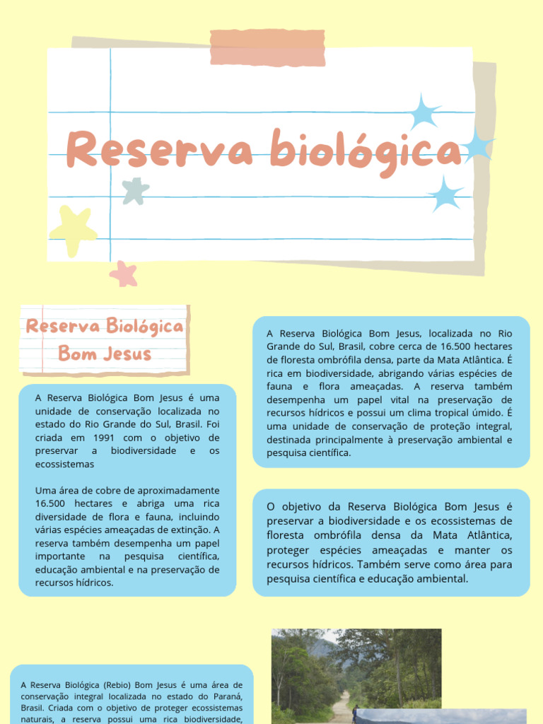 Baby Taylor Finn - 20240910 - 204430 - 0000 | PDF | Biodiversidade ...