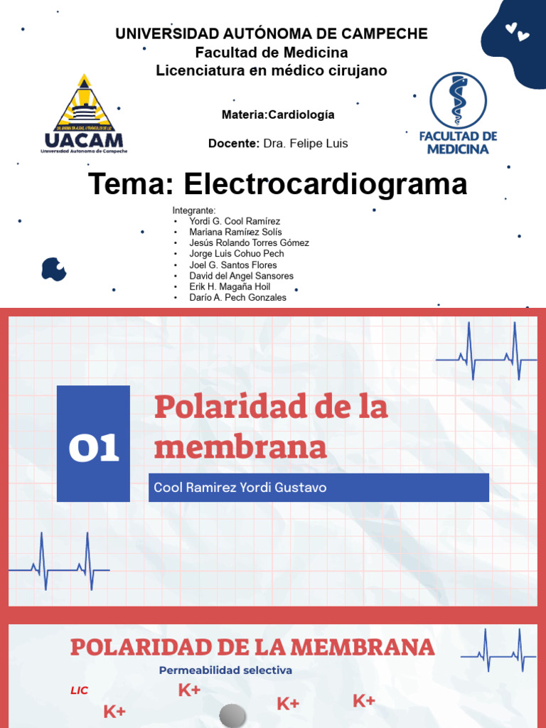 Electrocardiograf-A Normal y Patol-Gica 7mob | PDF ...