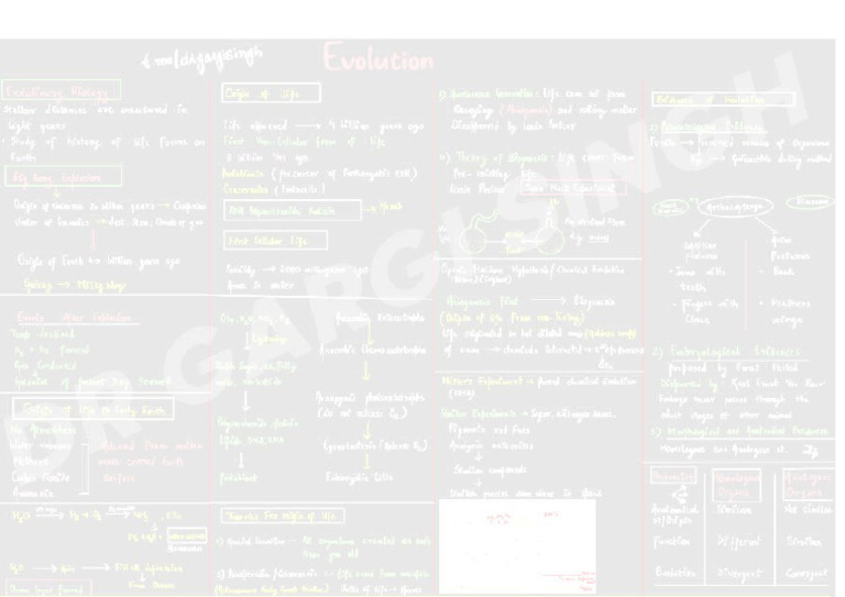 Evolution | PDF