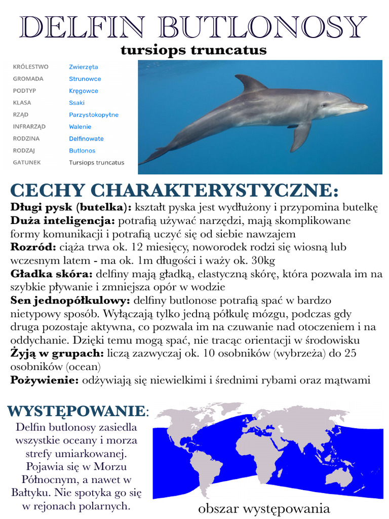 opis delfina (ssaki) | PDF