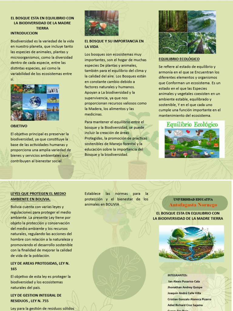 TRIPTICO BOSQUES | PDF | Biodiversidad | Los bosques