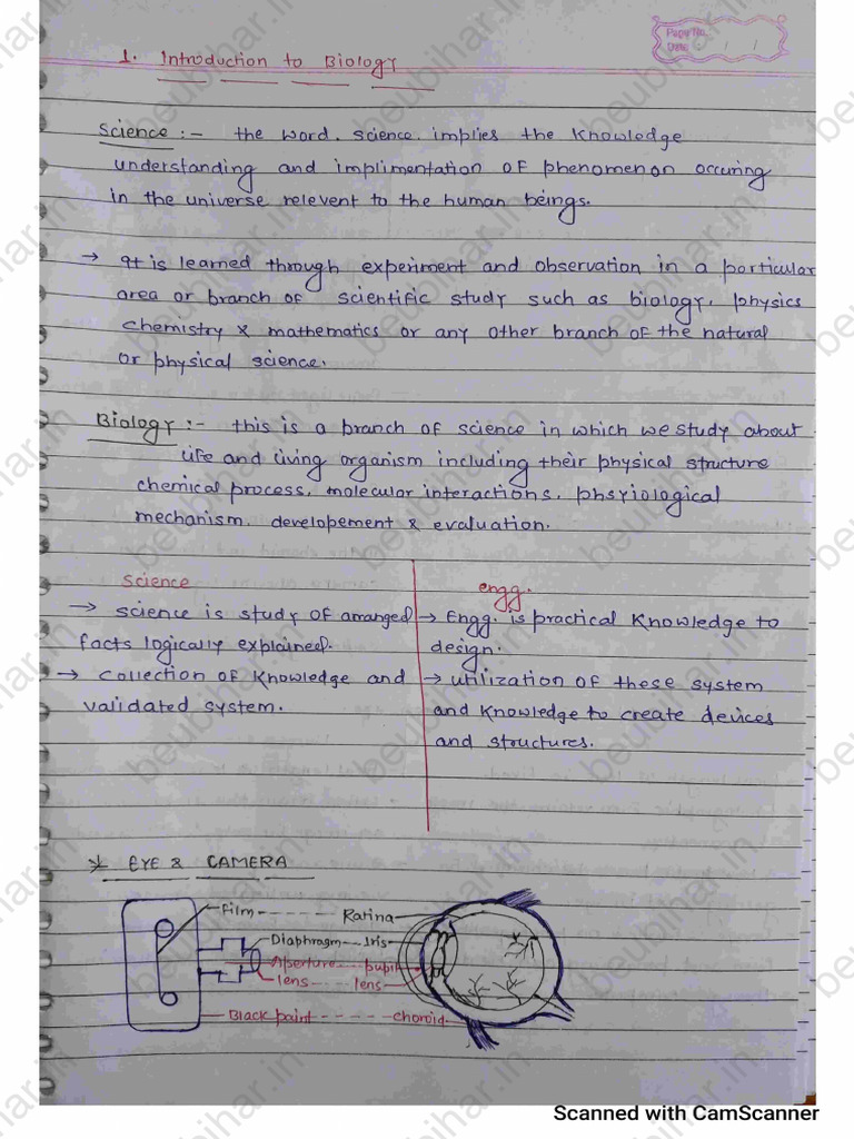 Biology for engineers Notes | PDF