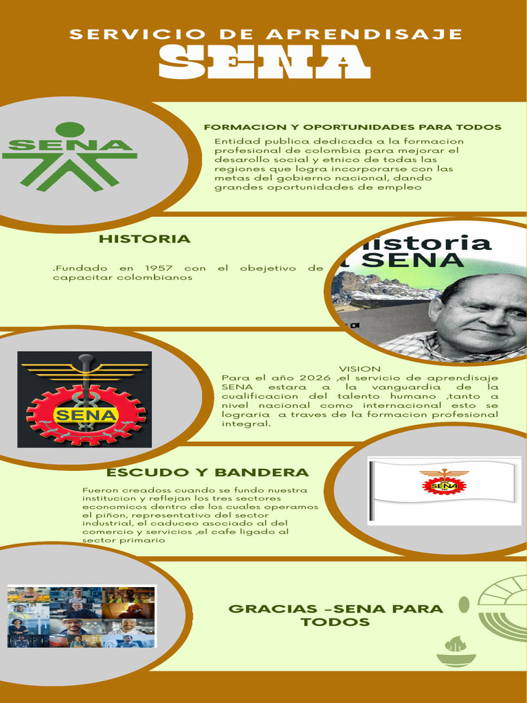 Infografico Sena | PDF
