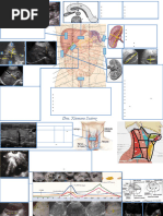 Medidas y Posiciones del Útero en Ecografía | PDF | Ultrasonido médico ...