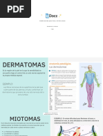 Dermatomas y Miotomas | PDF
