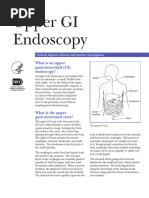Endoscopy Normal Format | PDF