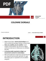 Squelette Axial Et Squelette Appendiculaire Anatomie | PDF | Articulation (anatomie) | Colonne ...