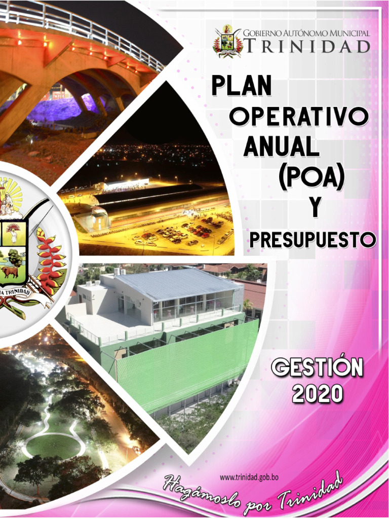 Plan Operativo Anual 2020 Aprob. Ley 308 | PDF | Presupuesto ...