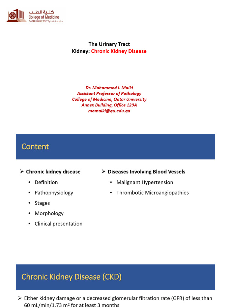 Chronic Kidney Disease | PDF | Chronic Kidney Disease | Kidney