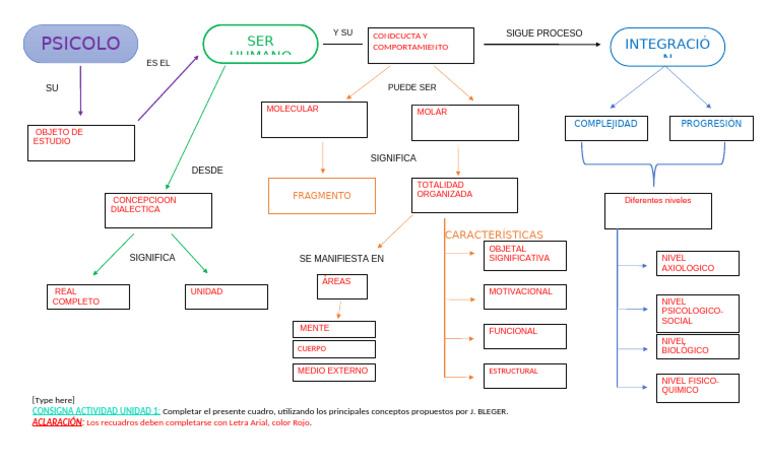 CUADRO BLEGER SINTESIS DE CONCEPTOS | PDF | Sicología