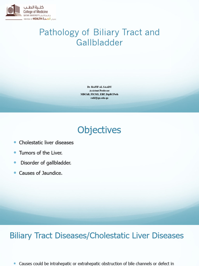 Biliary & GB Pathology 24 | PDF | Bile | Liver