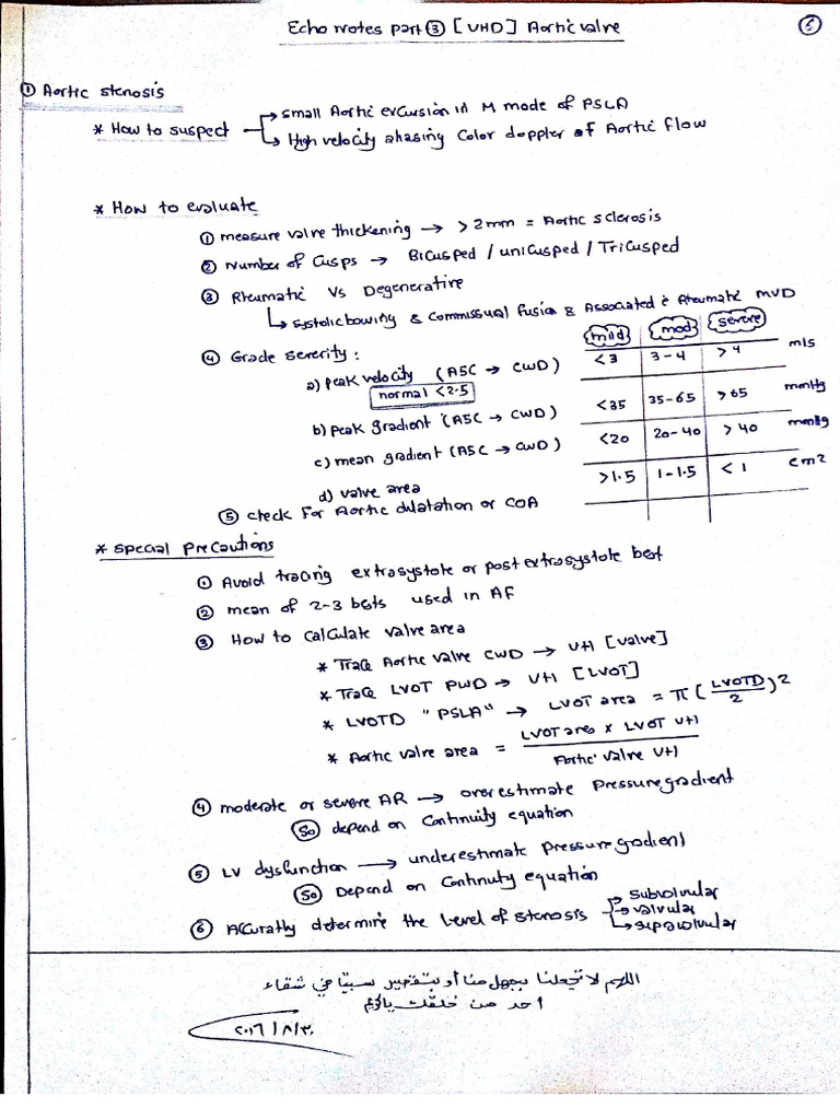 Echo Notes Part 3 Aortic | PDF
